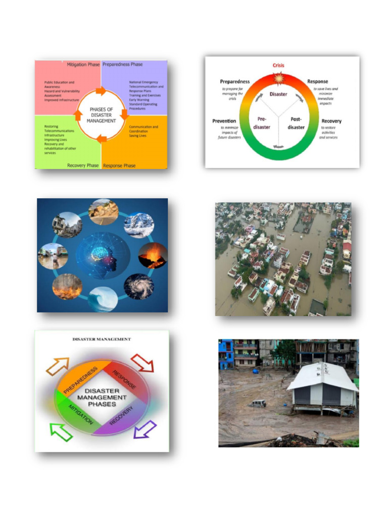 Disaster Management | PDF