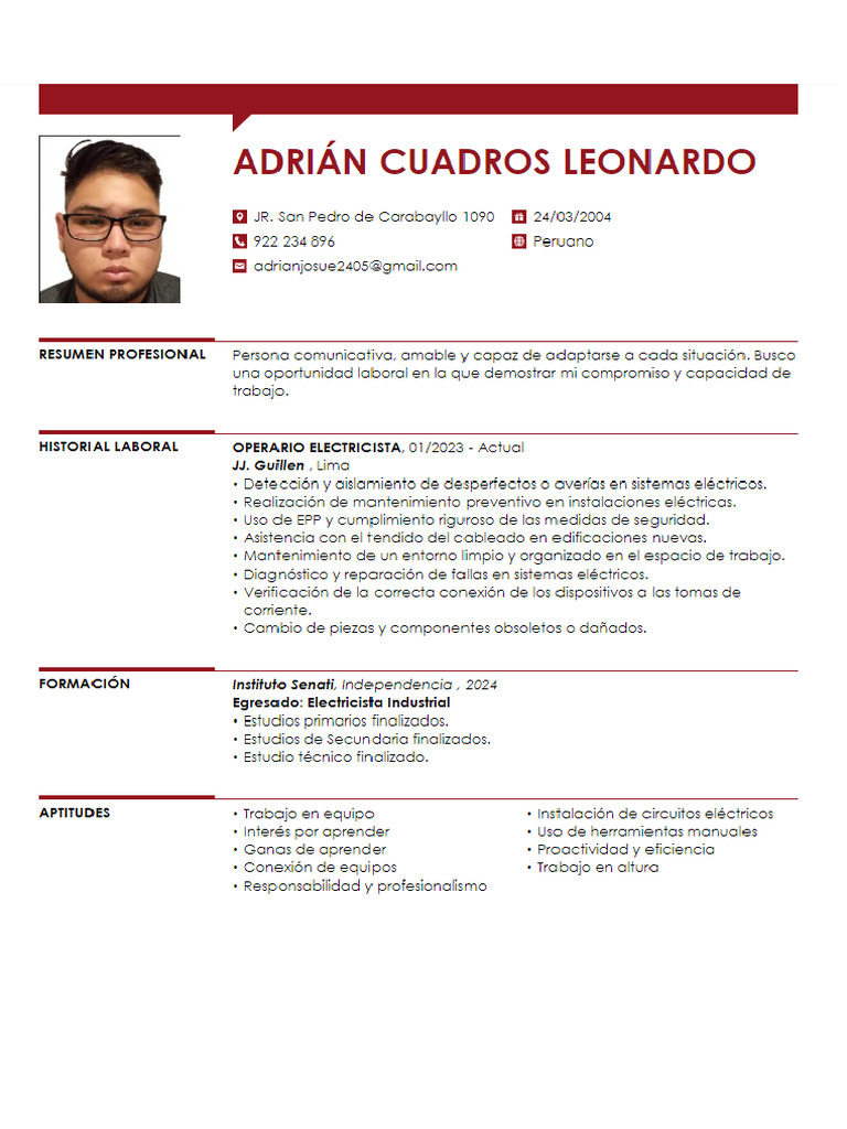 CV-Adrian Cuadros | PDF