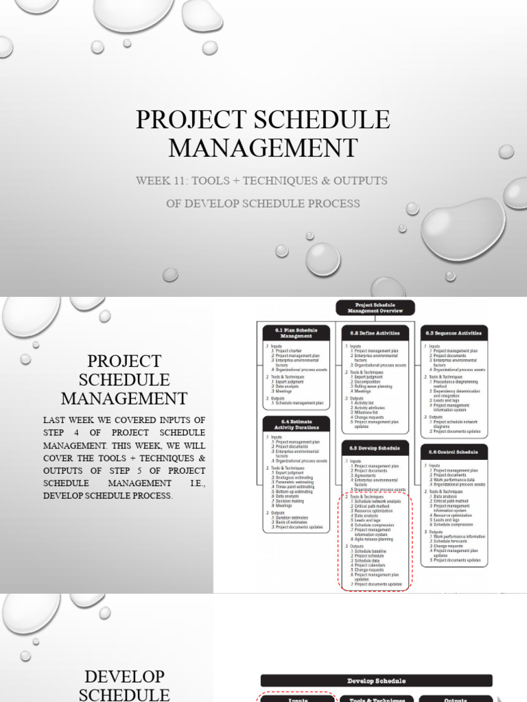 Week 11 - Project Schedule Management - Develop Schedule Process Tools ...