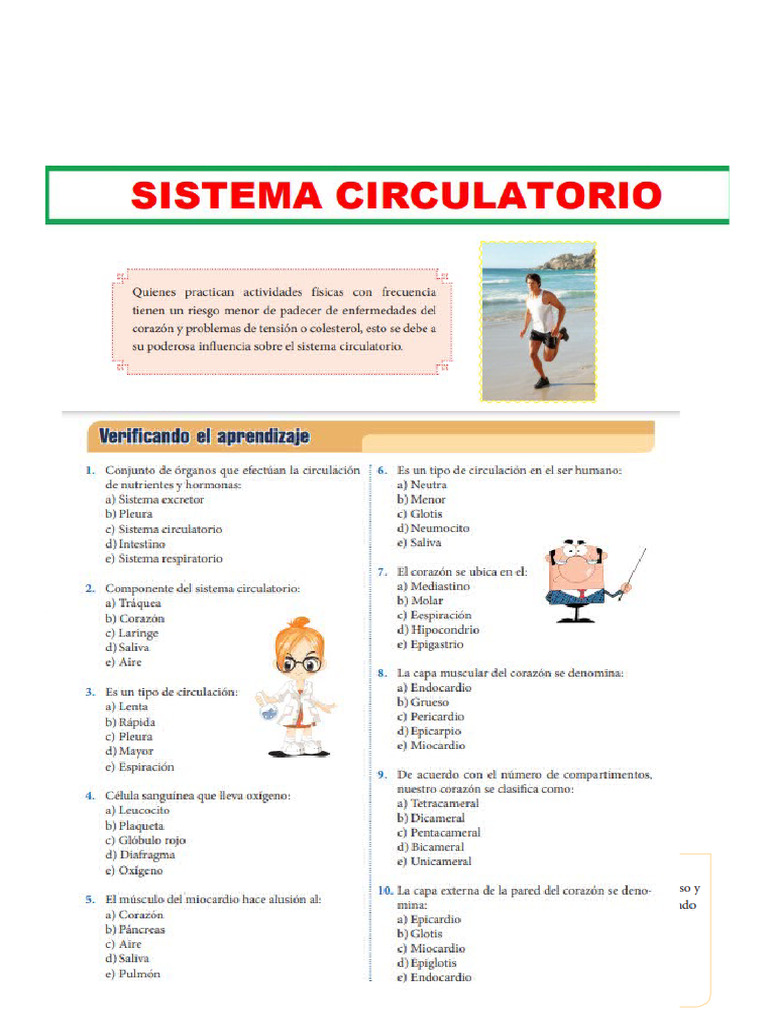 Ficha Circulatorio | PDF