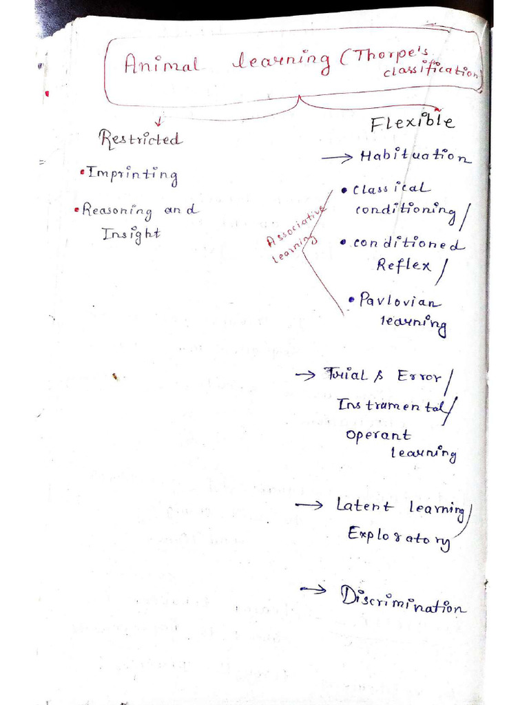 Associative Learning - Conditional & Operant Learning - Compressed | PDF