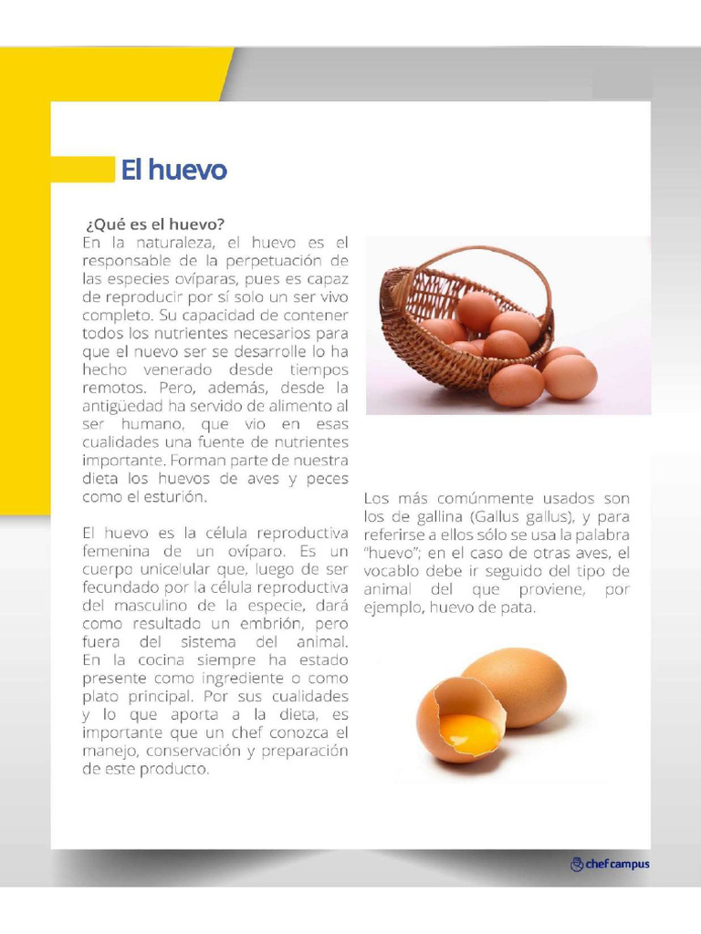El Huevo 2 | PDF