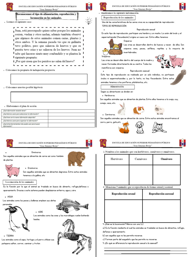 ficha de activdad clasificación de los animales | PDF | Reproducción ...