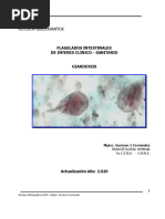 Retortamonas intestinalis: Protozoo Intestinal | PDF | Biología | Medicina