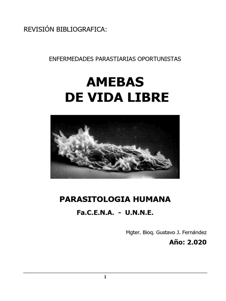 Amebas de Vida Libre | PDF | Biología