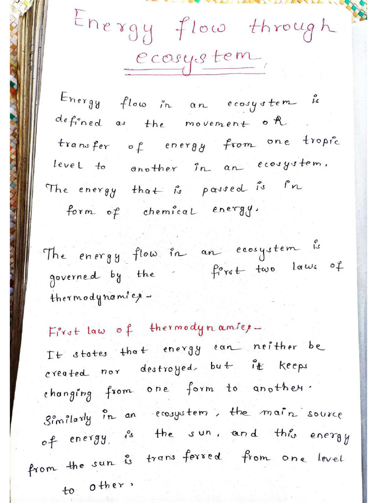 Energy Flow Through Ecosystem - Compressed | PDF