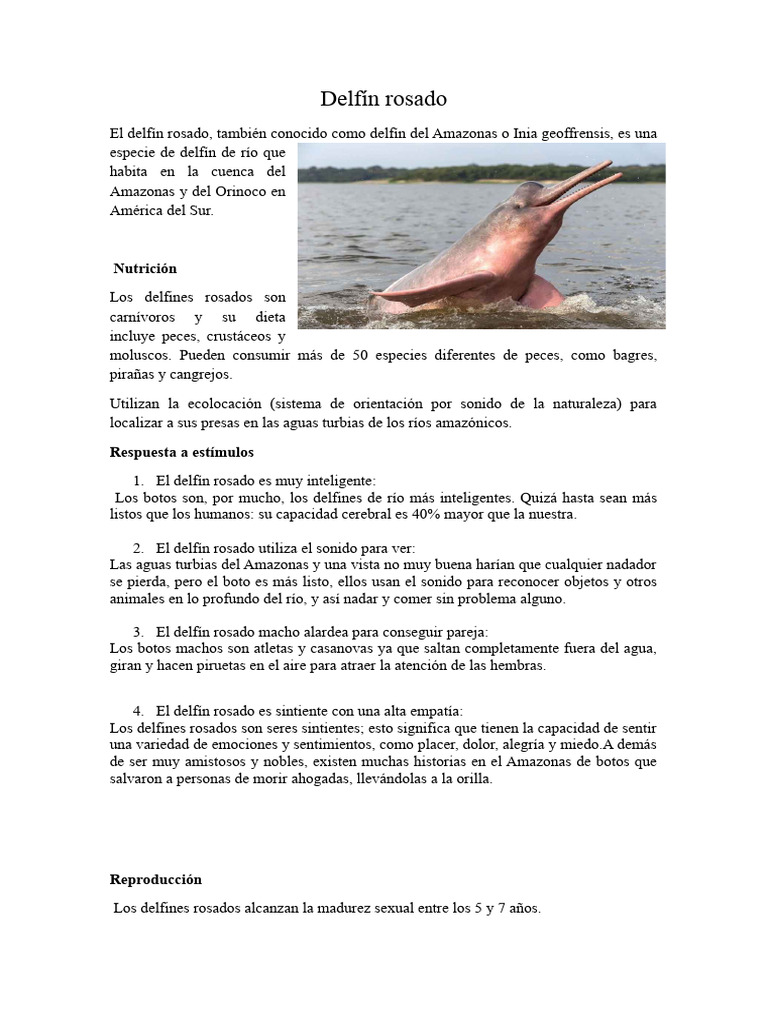 Delfín Rosado | PDF