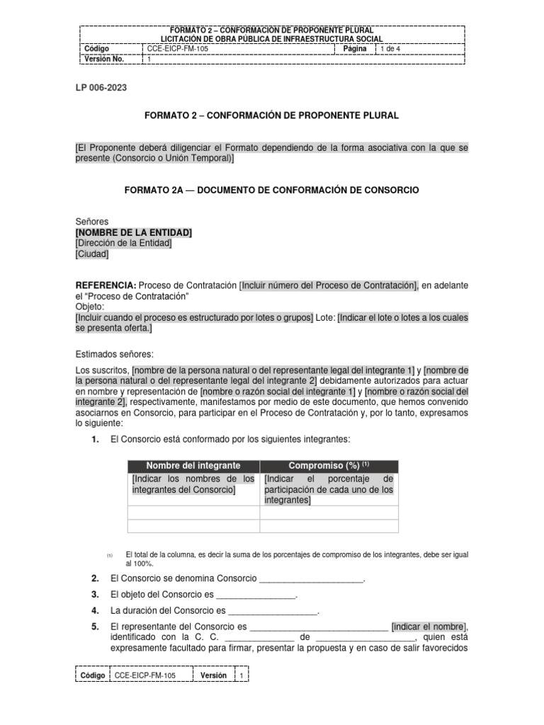 Conformacion de Proponente Plural | PDF