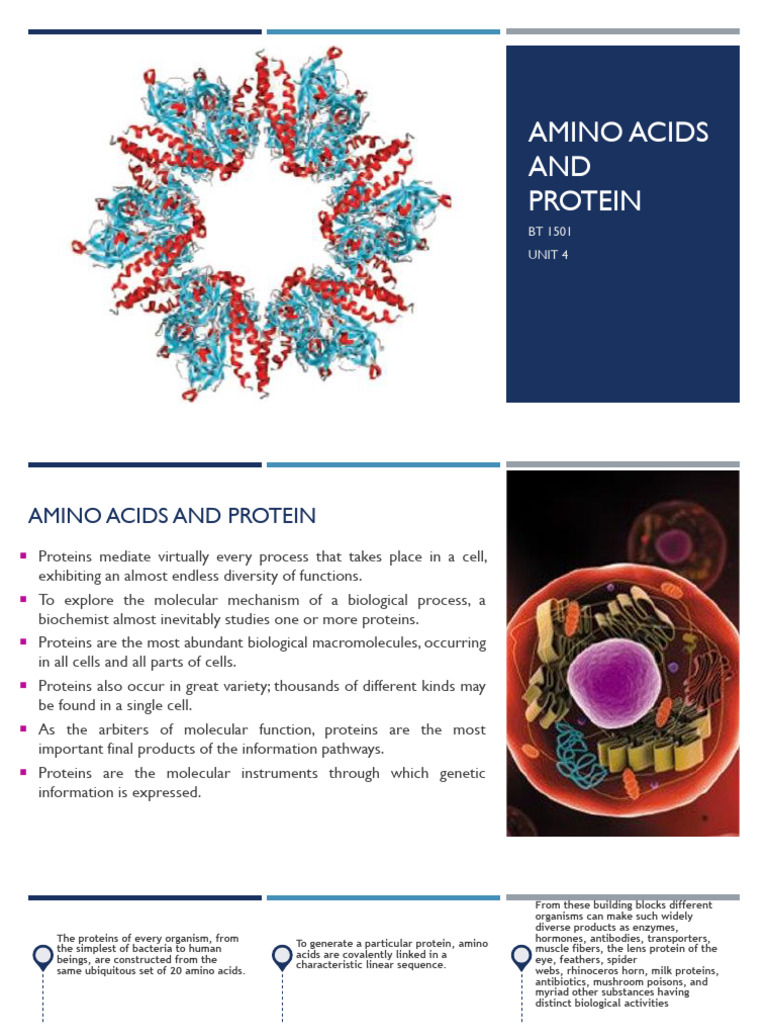 Amino Acids and Proteins | PDF | Proteins | Amino Acid
