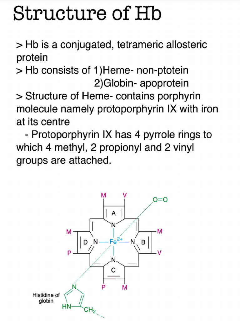 Hemoglobin Structure and Forms Explained | PDF