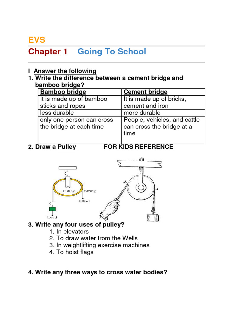 Shehara EVS | PDF | Honey | Bees