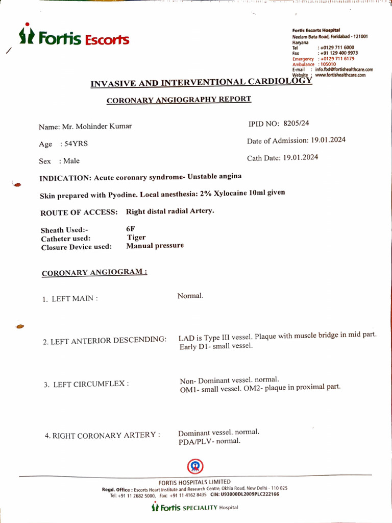 Angiography Report | PDF
