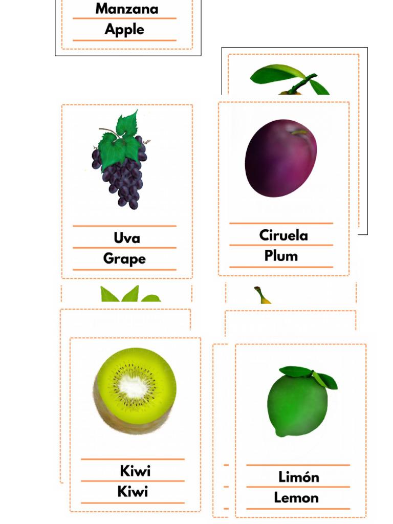 Prueba Flash Card | PDF