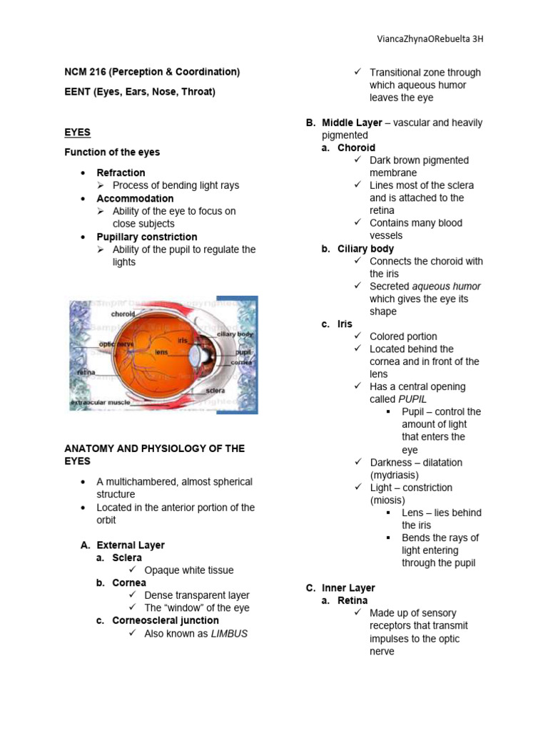 NCM 216 Eent Neuro Ortho Prelim | PDF | Ear | Glaucoma