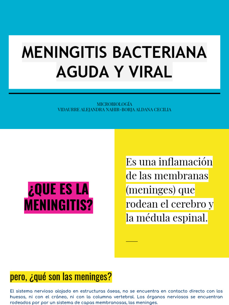 Meningitis Bacteriana Aguada Yviral | PDF | Meningitis | Virus