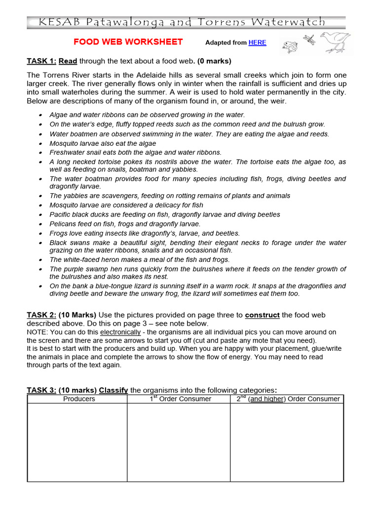 Food Web Exploration for Students | PDF | Food Web | Zoology