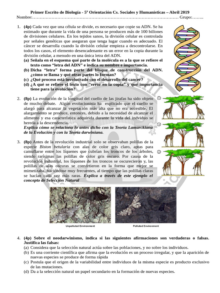 Biología: División Celular y Evolución | PDF | Evolución | Seleccion ...