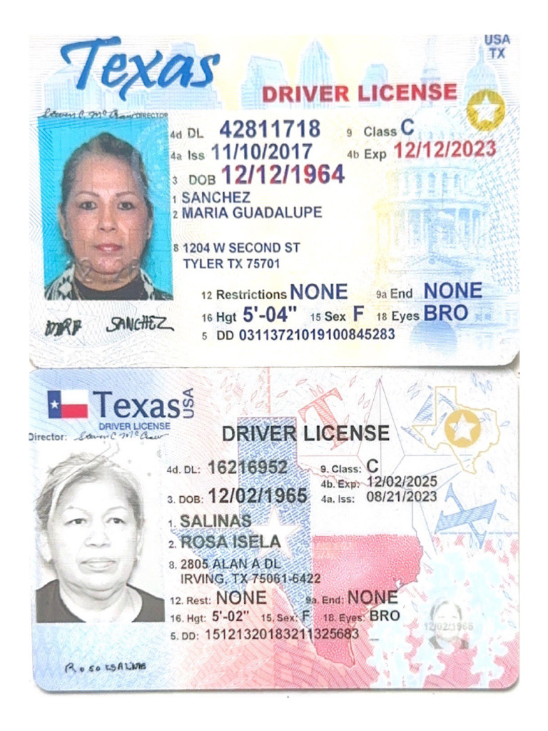 Identification | PDF