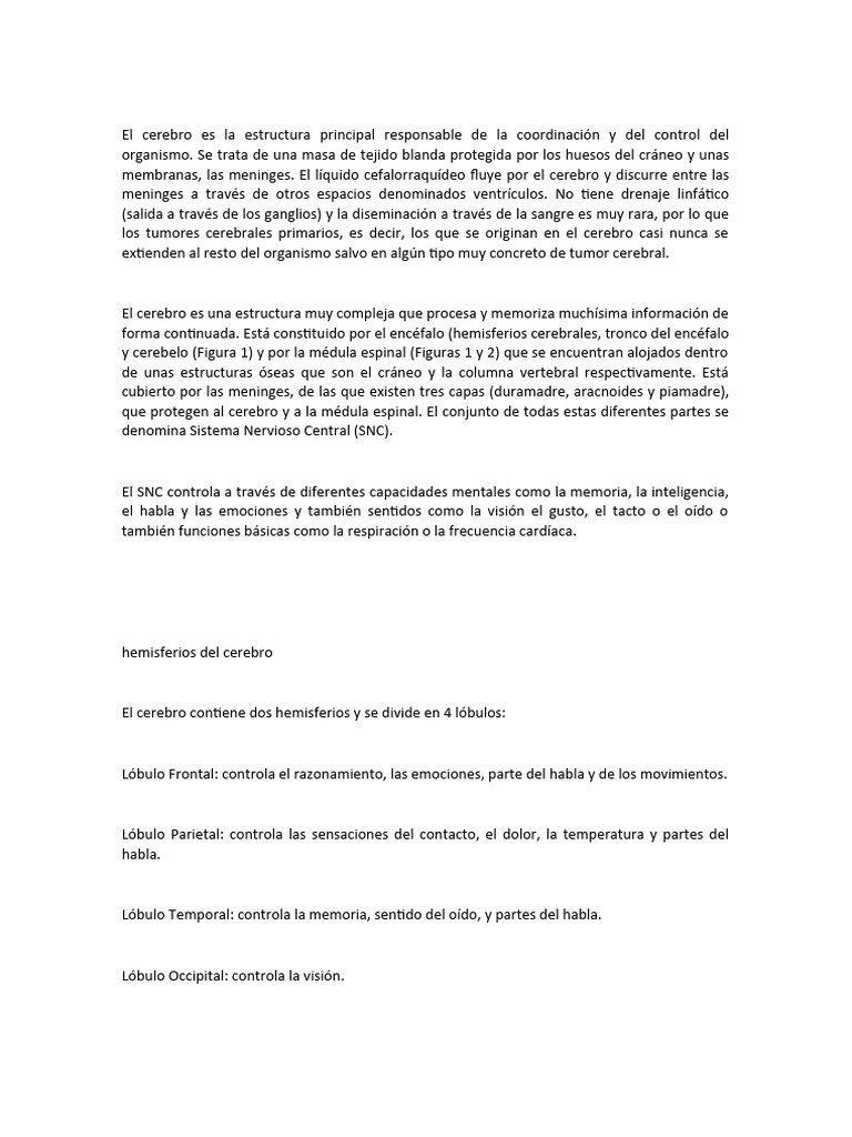Estructura y Funciones del Cerebro | PDF
