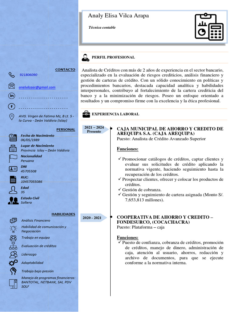 CV Analy Vilca PDF | PDF | Microsoft Office | Dinero