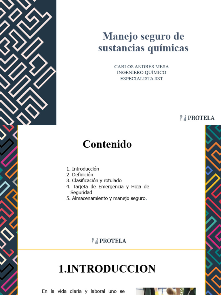 Manejo Seguro de Sustancias Químicas | PDF