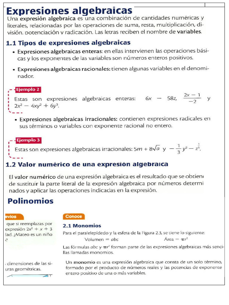 Expresiones Algebraicas | PDF