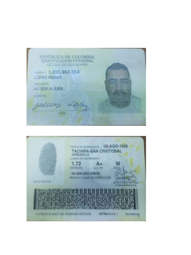 CEDULA JAVIER PDF - PDF 2 | PDF