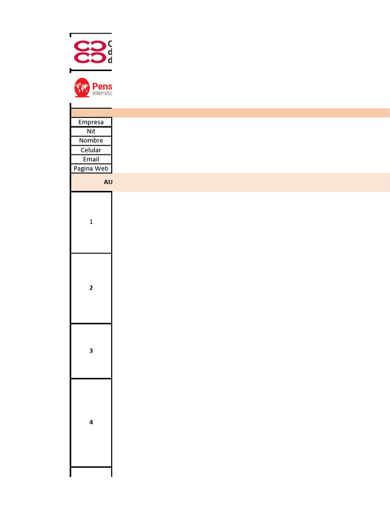 Herramienta Diagnóstico MIE CCB VF | PDF | Business | Exportaciones