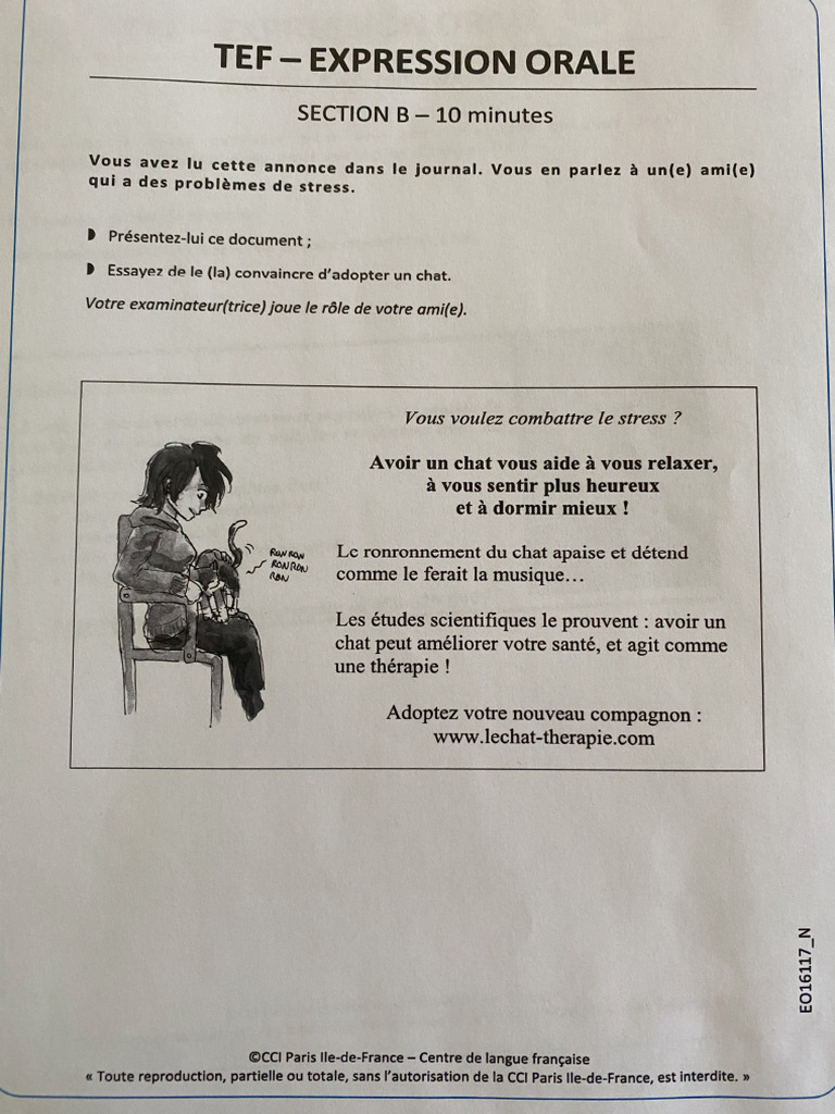 TEF Real Questions 2nd Part | PDF