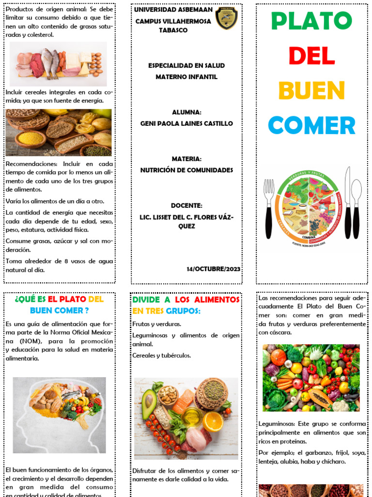 Plato Del Buen Comer Descargar Gratis Pdf Alimentos Nutrición