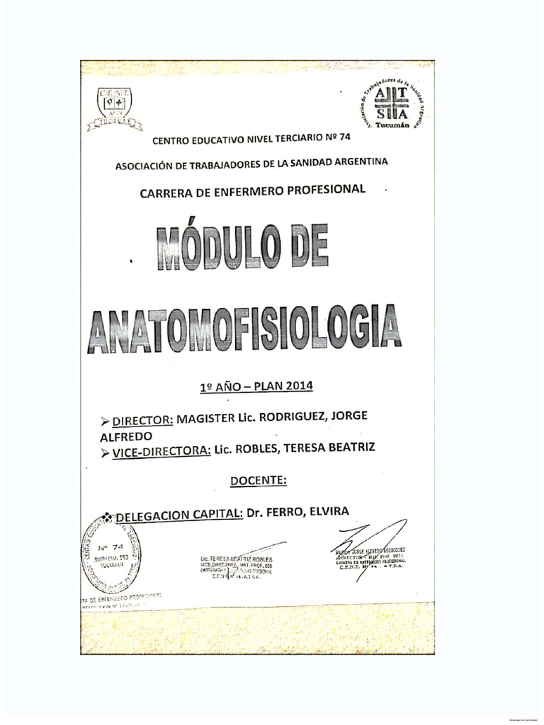Modulo Anatomia Pdf