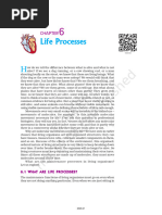 Preferred Practice Patterns: APTA Guide To Physical Therapy Practice ...