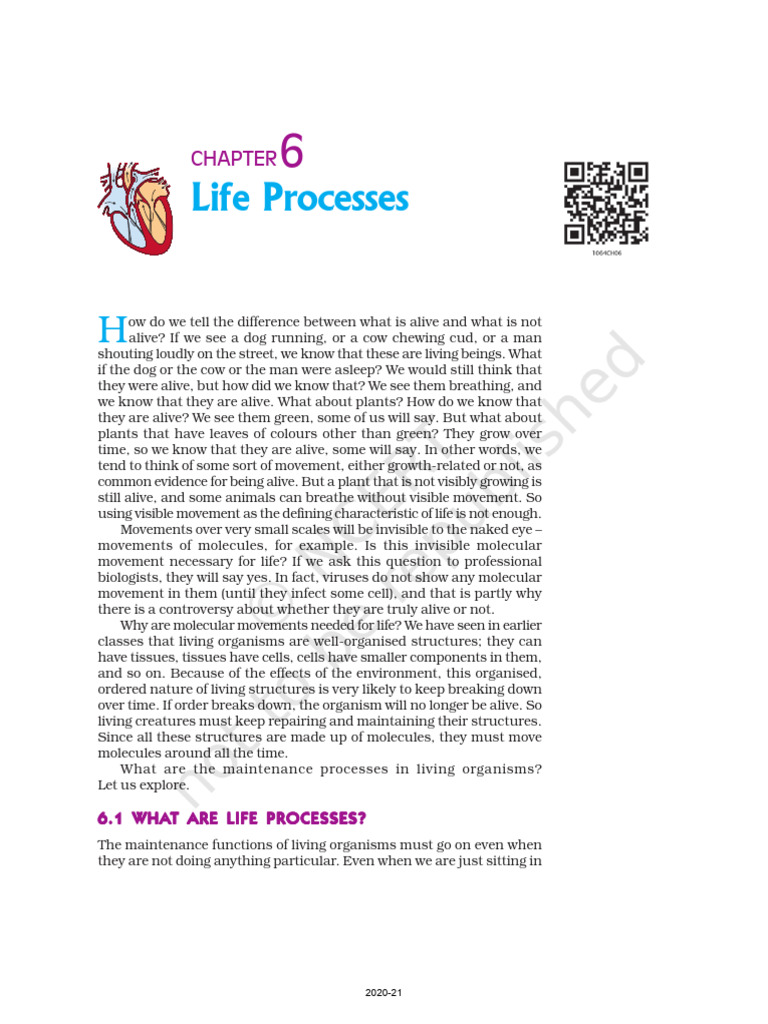 10 CBSE SC ch6 Book | PDF | Digestion | Lymph