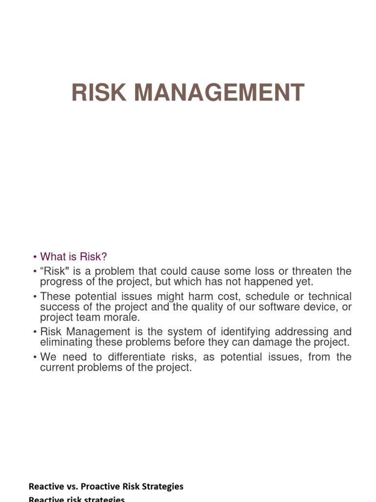 Risk SW | PDF | Risk | Risk Management