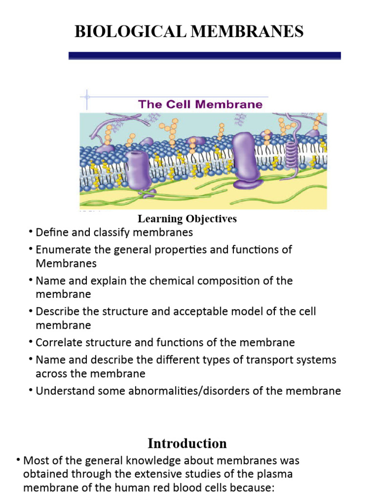 Introduction To Membranes | PDF | Cell Membrane | Lipid Bilayer