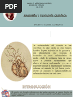 Función y Ubicación del Plexo Cardíaco | PDF