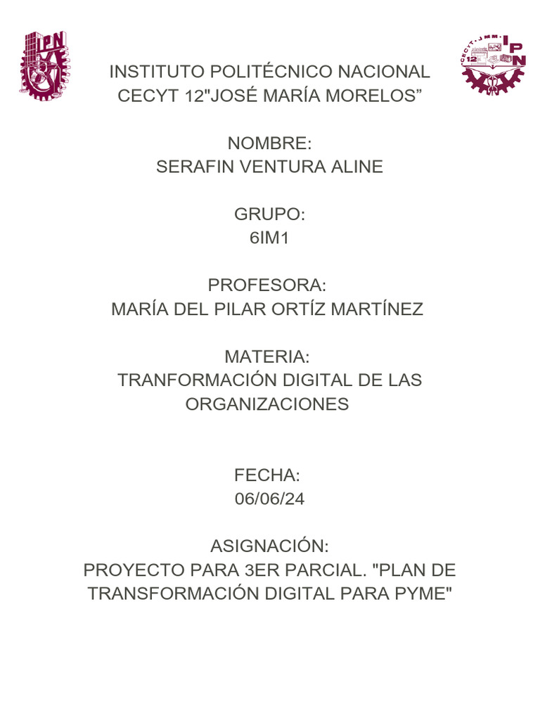 Proyecto para 3er Parcial. Plan de Transformación Digital para PyME | PDF | Business | Facebook
