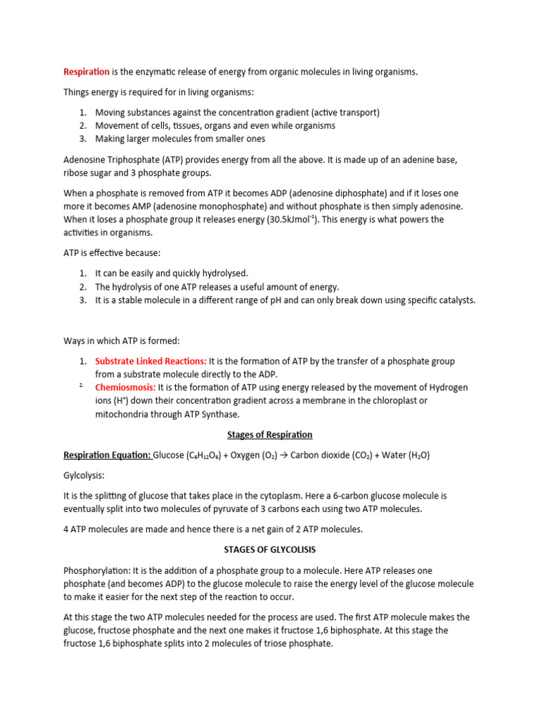 Aerobic vs. Anaerobic Respiration ATP Yield | PDF | Cellular ...