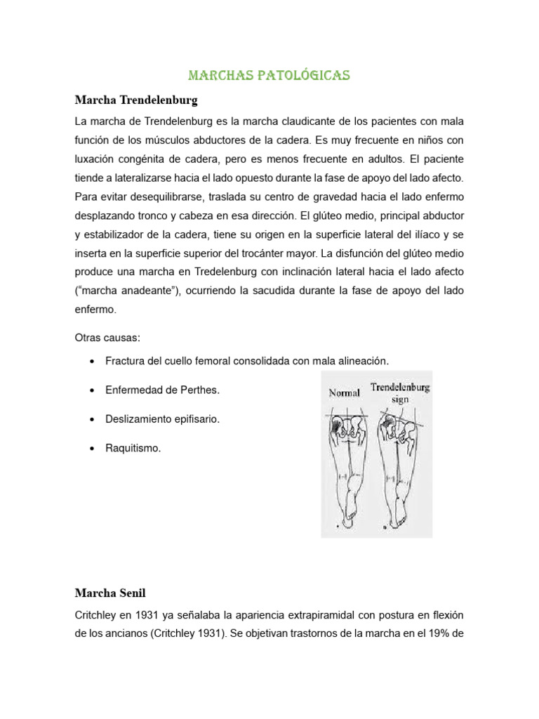 5 Marchas Patológicas | PDF | Neurociencia | Enfermedades y trastornos