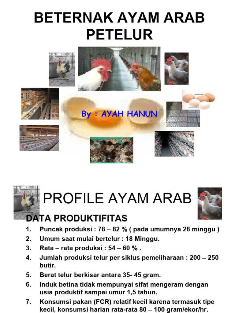 Beternak Ayam Arab Petelur New | PDF | Griya & Taman