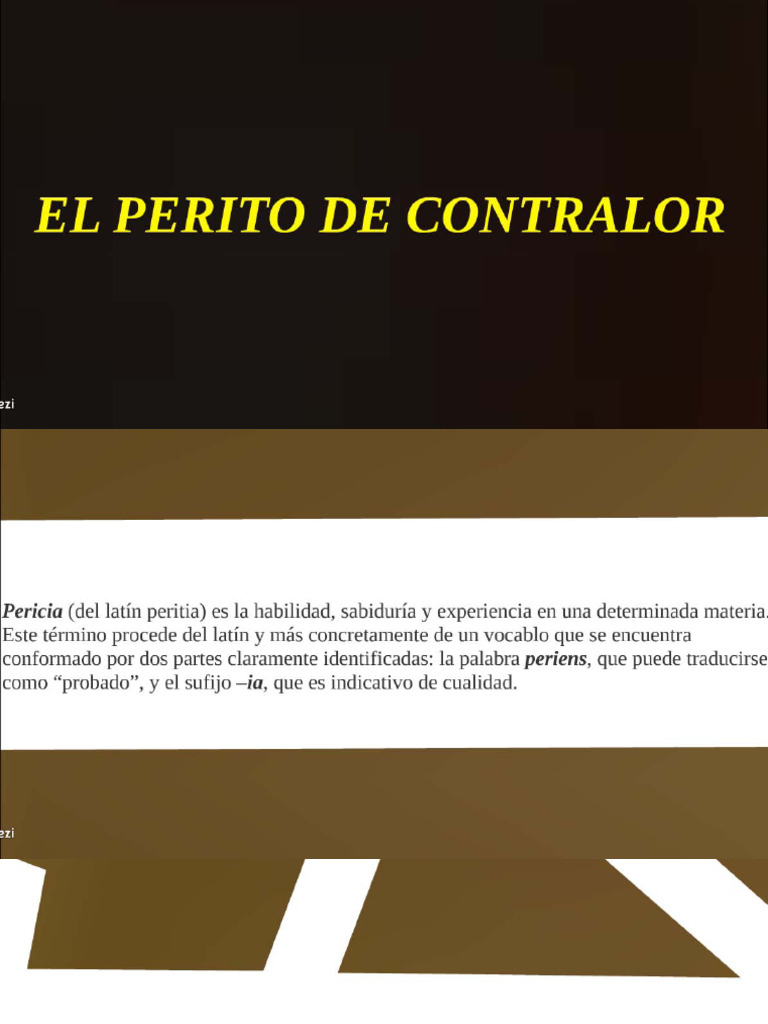 Perito de Contralor | PDF