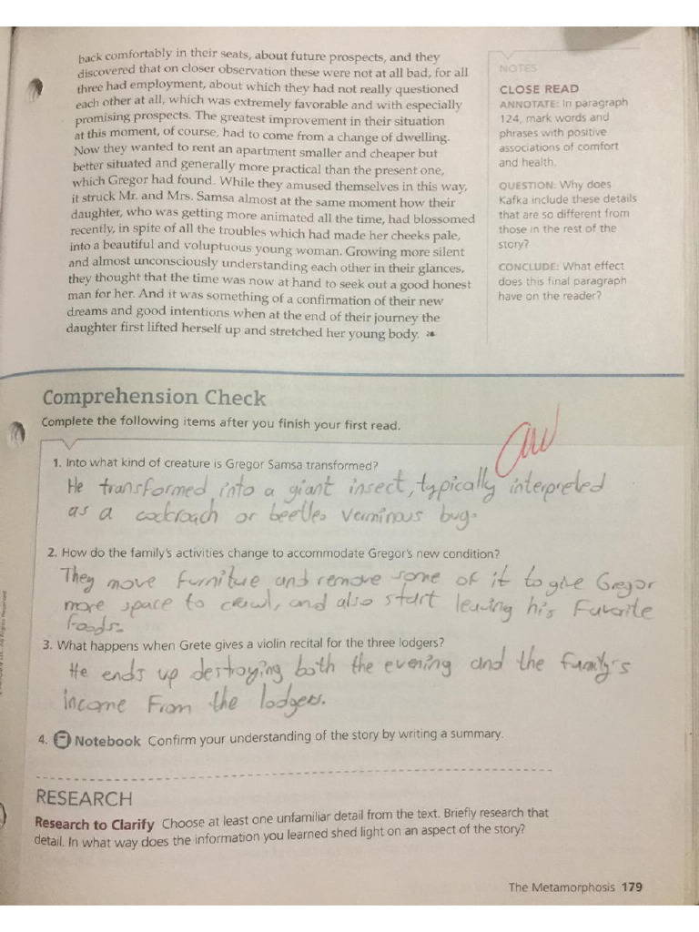 Comprehension Check | PDF