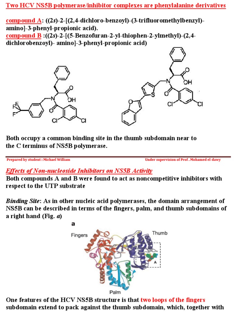 Non-Nucleoside Inhibitors on NS5B | Active Site | Enzyme Inhibitor