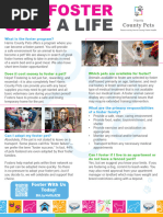 Sample Foster Agreement | PDF | Pet | Caregiver