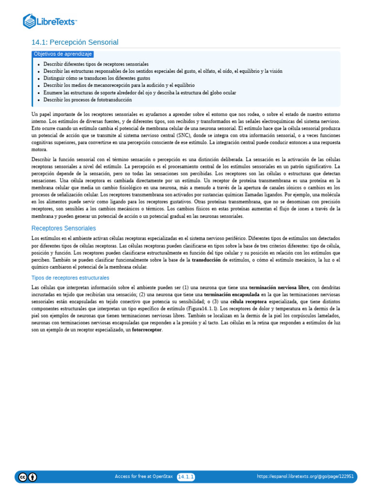 Percepción Sensorial | PDF | Sentidos | Oído