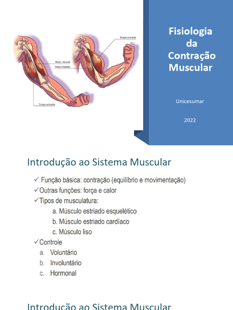 Fisiologia da Contração Muscular | PDF | Músculo | Histologia