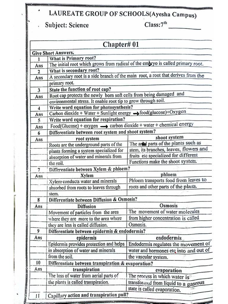 7th Science Notes | PDF