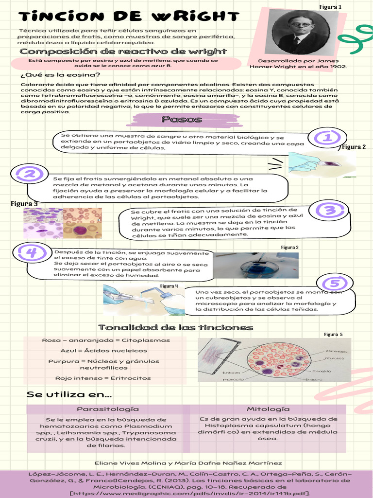 Tinción de Wright 240408 184651 | PDF | Tinción | Microscopía