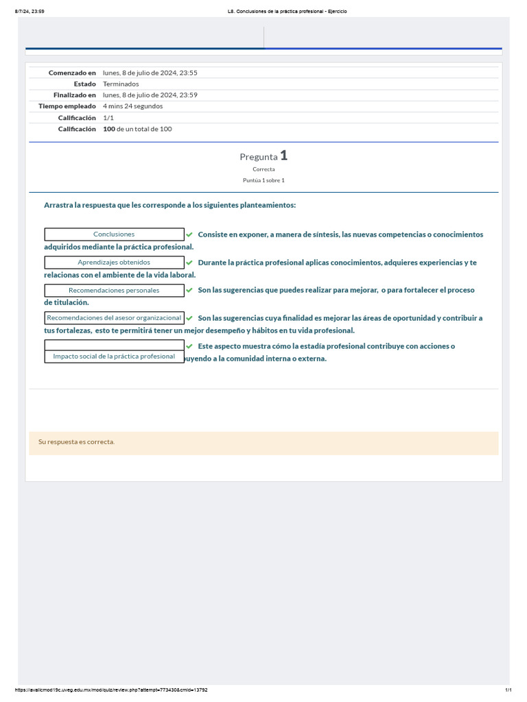 Conclusiones Práctica Profesional | PDF