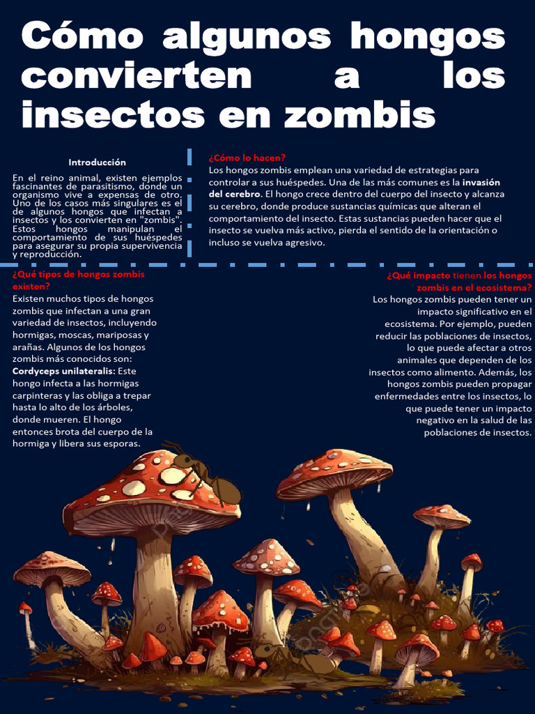 Hongos que convierten insectos en zombis | PDF | Hongo | Insectos